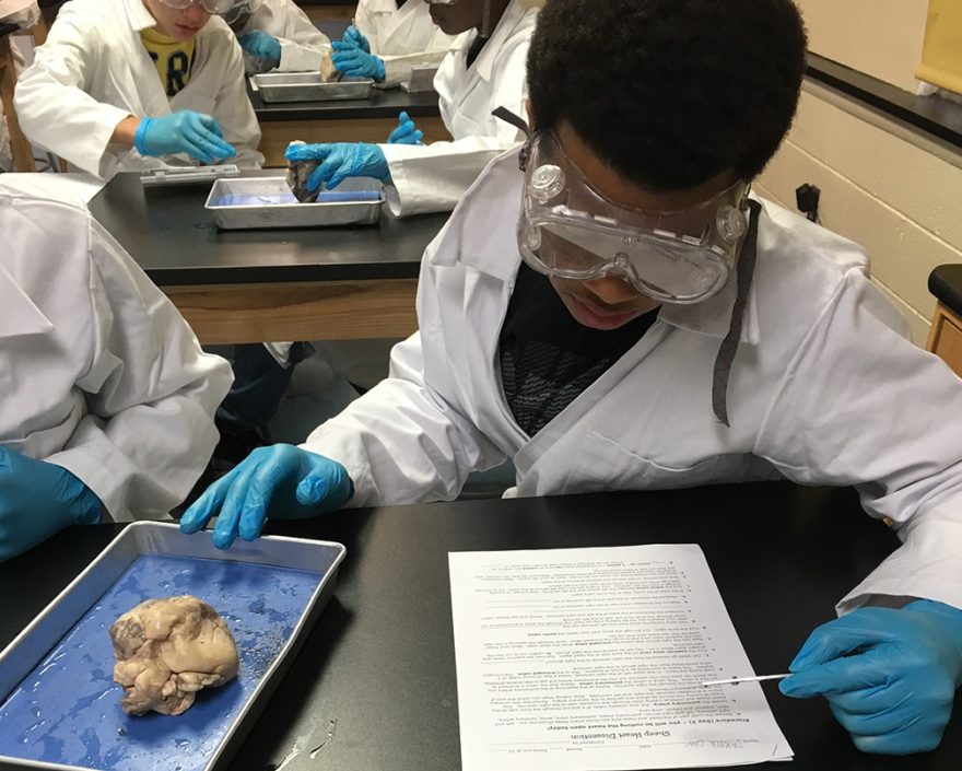 Insights Into the Careers of Medical Detectives | PLTW